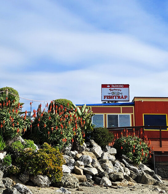 california restaurants delicious seafood FTR