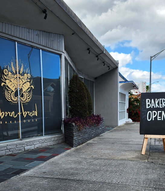 cinnamon rolls bakery florida ftr