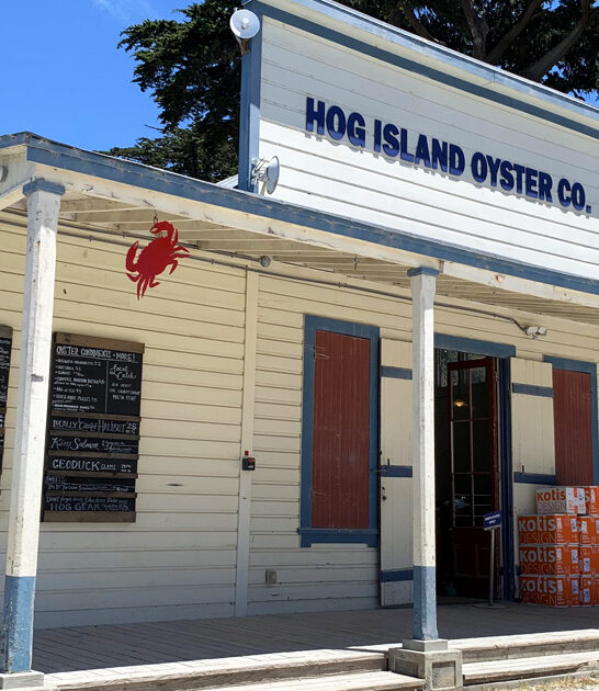 clam chowder marshall ca FTR