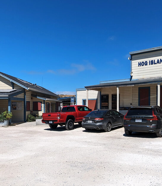 delicious clam chowder marshall ca FTR