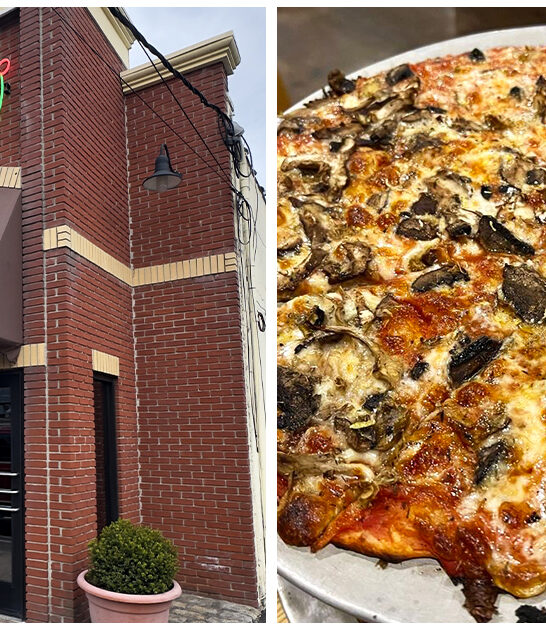 delicious pizza new jersey FTR