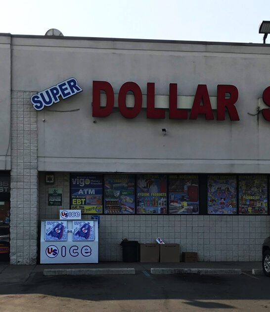 dollar store michigan good ftr