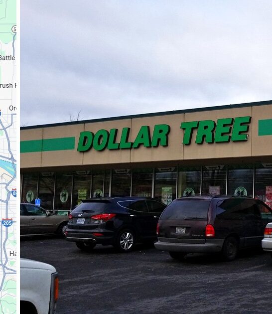 dollar store treasures oregon FTR