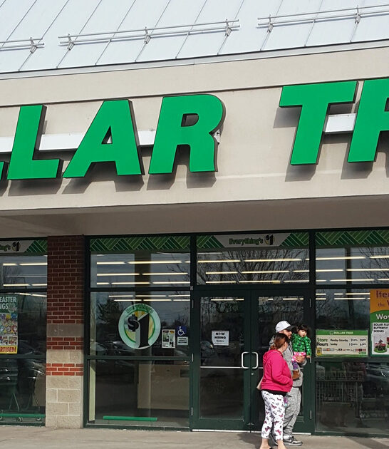 dollar store treasures vermont FTR