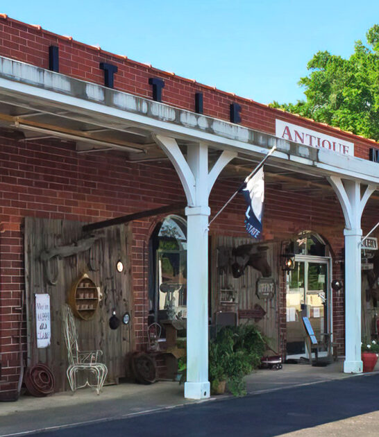 enormous antique shop little mountain sc FTR