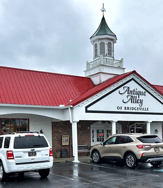 enormous antique store delaware ftr