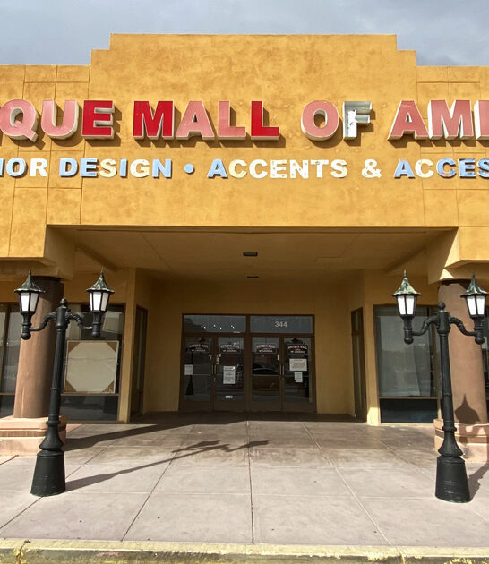 enormous antique store nevada ftr