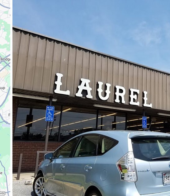 enormous bargain store maryland ftr