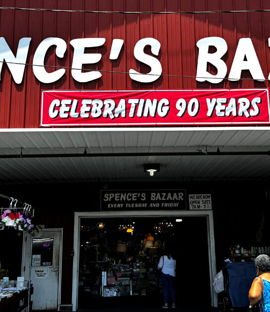 enormous delaware bargain hunting ftr