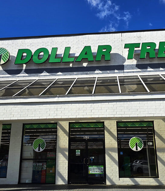 enormous dollar store georgia ftr