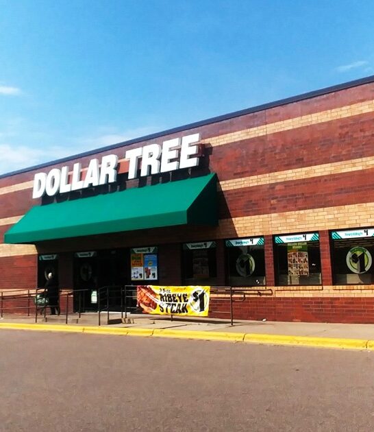 enormous dollar store minnesota ftr