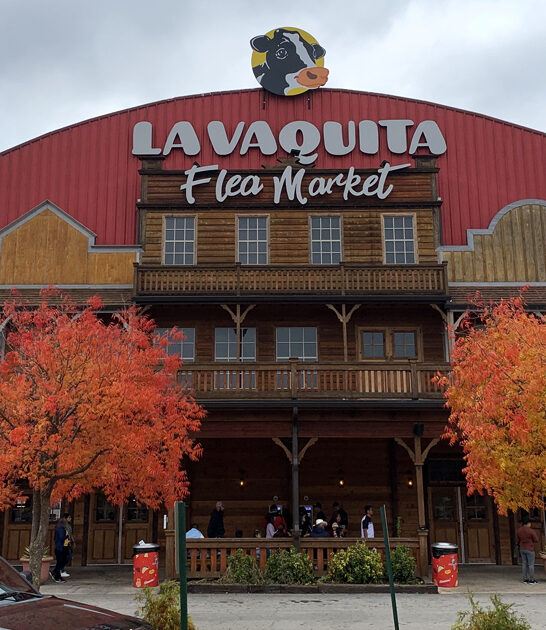 enormous flea georgia market ftr