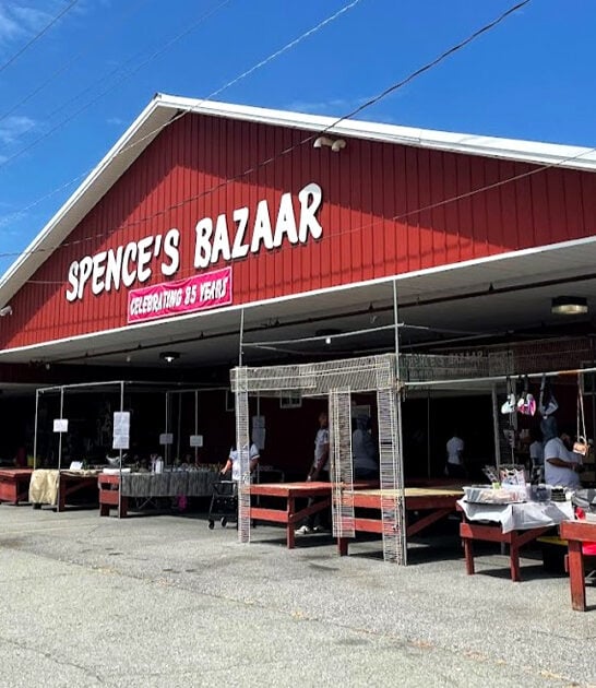 enormous flea market delaware ftr