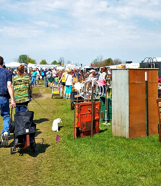 enormous market iowa good ftr