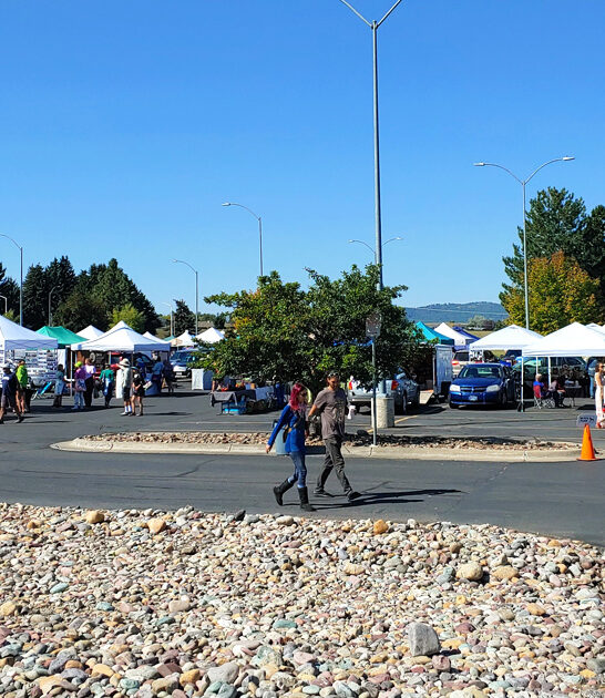 enormous montana flea market ftr