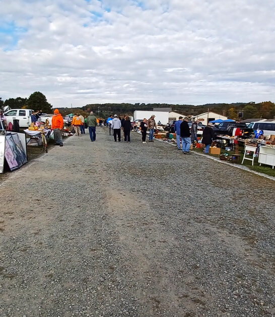 enormous pennsylvania flea market ftr