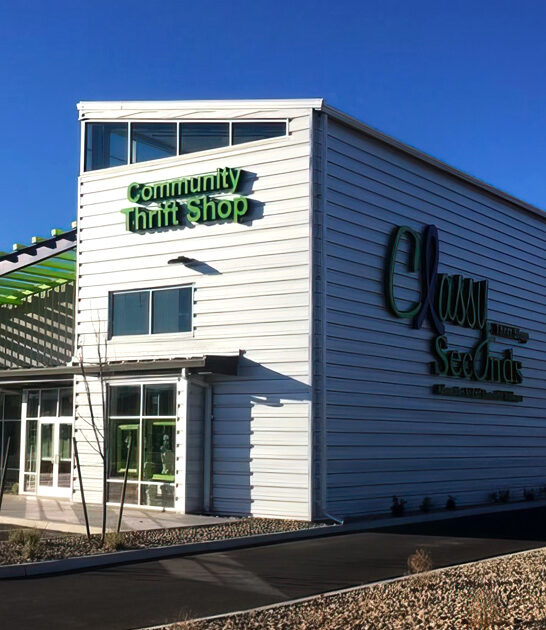 enormous secondhand shop nevada ftr