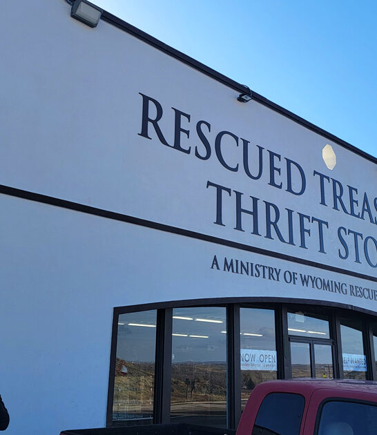 enormous secondhand shop wyoming ftr