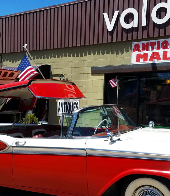 enormous store new mexico ftr