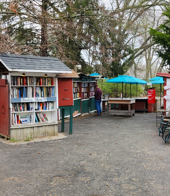 enormous used bookstore connecticut ftr