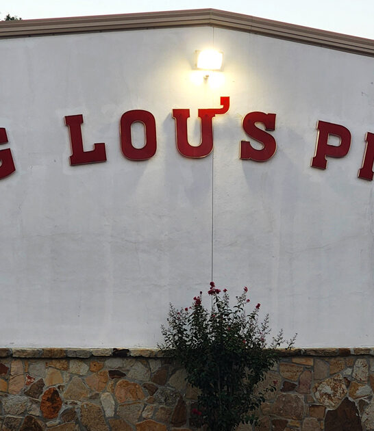 excellent pizza restaurant texas ftr