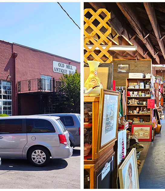 explore antique south carolina FTR