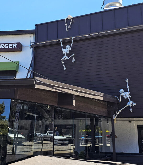fascinatingly weird restaurant jerome az ftr