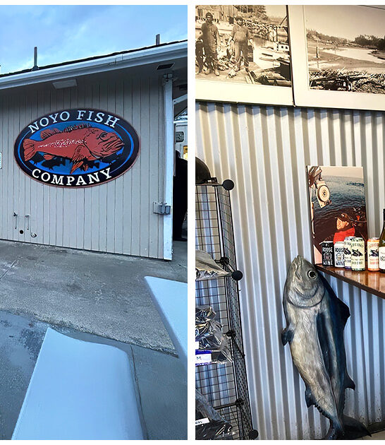 fish-chips-shack-fort-bragg-ca-FTR