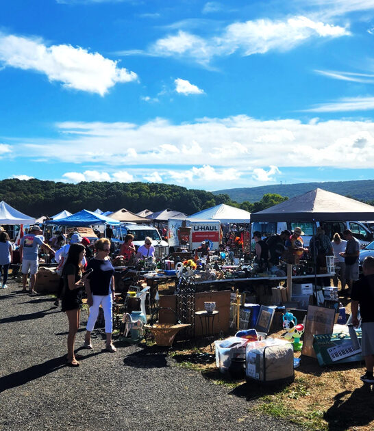 flea fair new york ftr