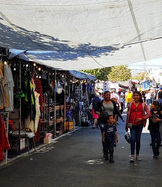 flea market nevada bargain ftr