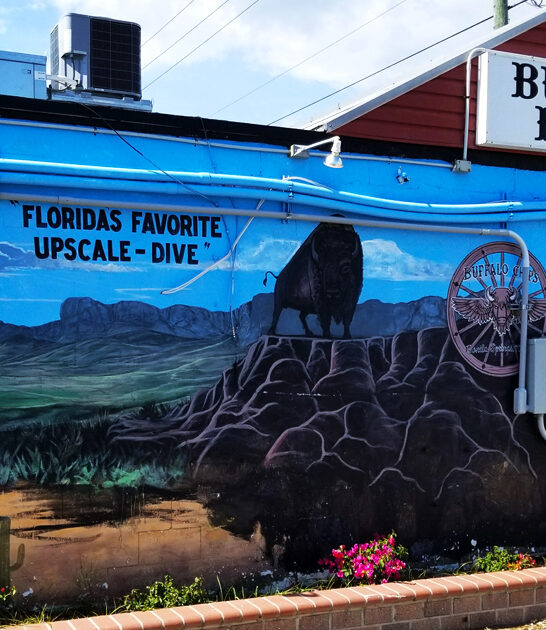 florida mouth watering wings FTR