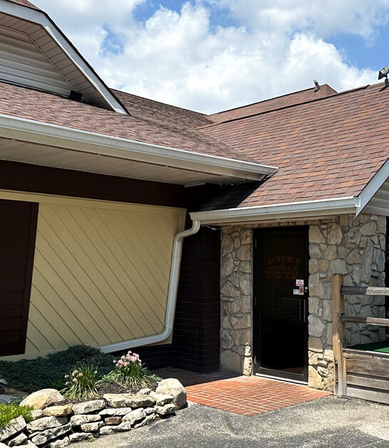 french onion soup indiana ftr