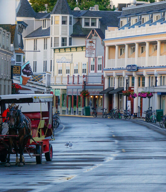 gorgeous michigan historic town ftr