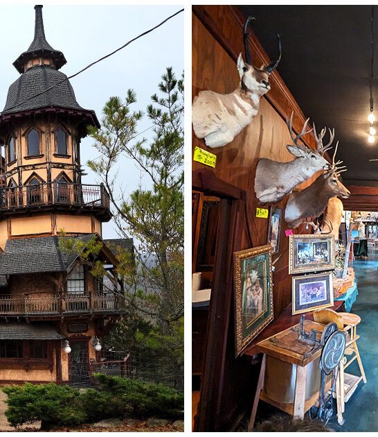 gorgeous secret castle arkansas ftr