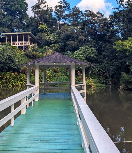 hawaii best prime rib ftr