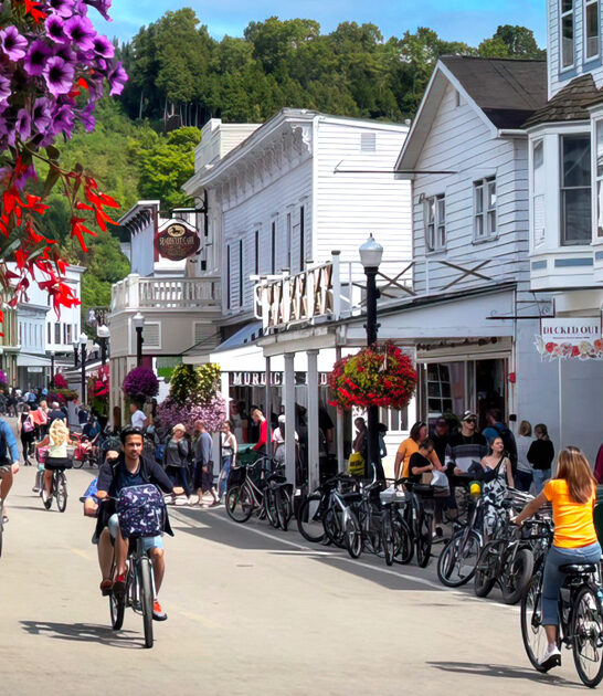 historic postcard town michigan ftr