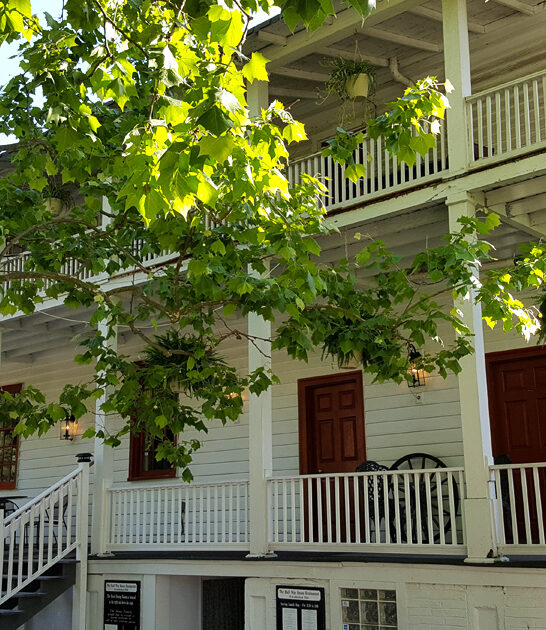 historic restaurant virginia ftr
