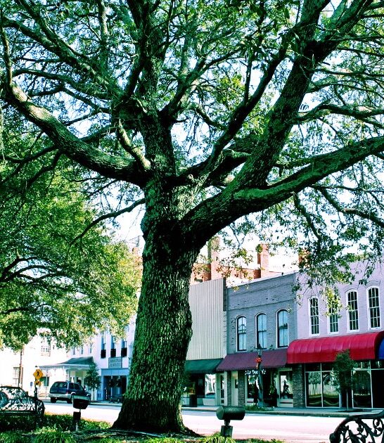 historic town alabama getaway ftr