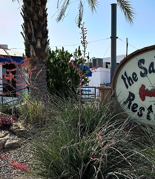 lobster underground restaurant scottsdale az delicious ftr