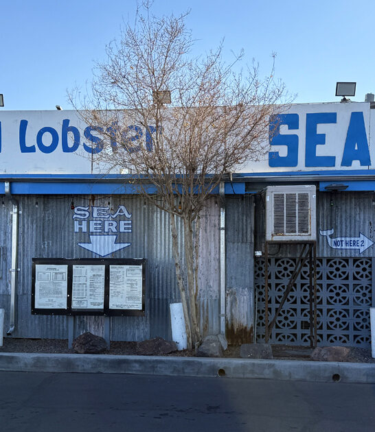 lobsters arizona restaurant delicious ftr