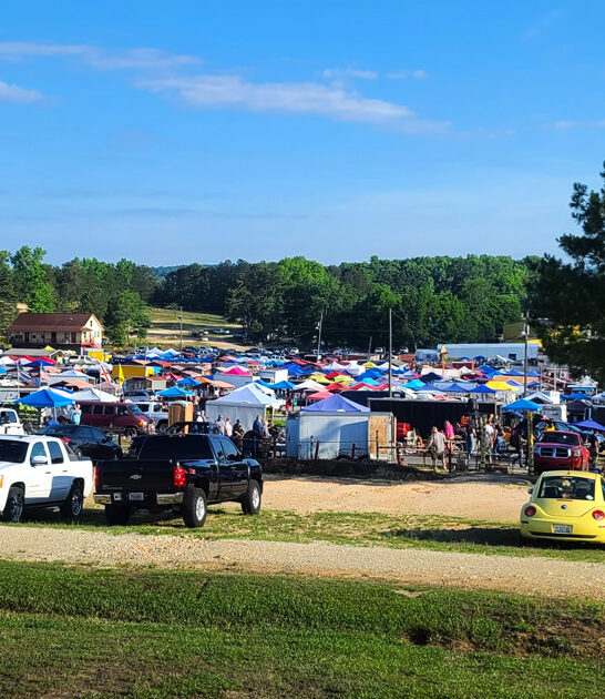 market alabama bargain hunting ftr