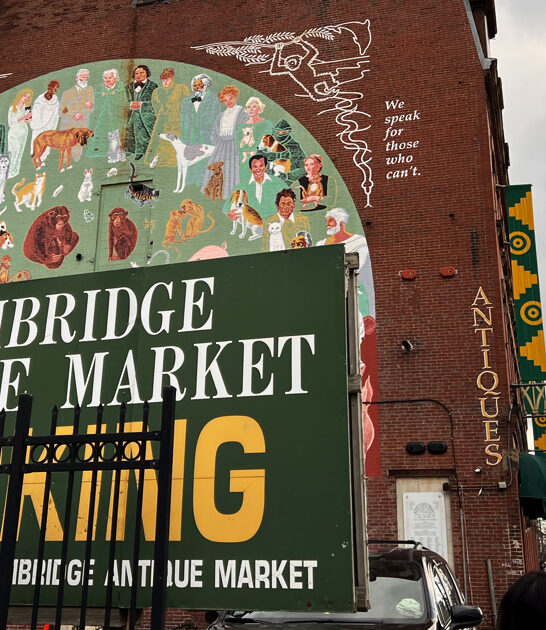 massive antique shop massachusetts ftr