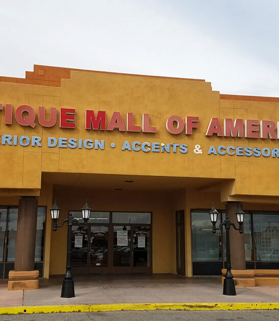 massive antique store nevada ftr