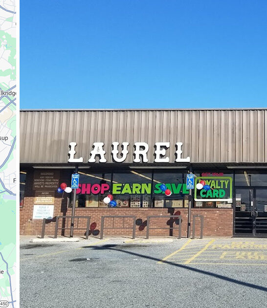 massive bargain store maryland ftr