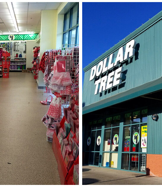 massive dollar store washington FTR