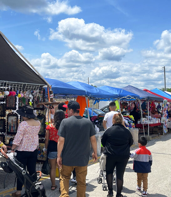 massive flea market caledonia wi ftr