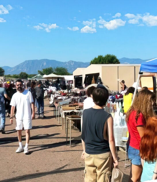 massive flea market colorado ftr