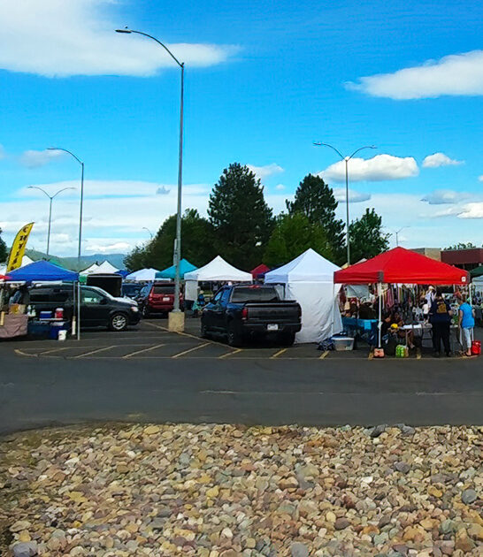 massive flea market montana ftr