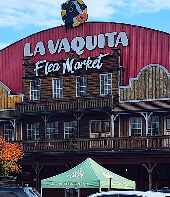massive georgia flea market ftr