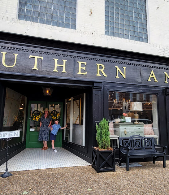 massive mississippi antique shop ftr